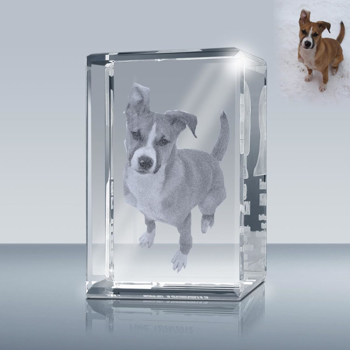 2D 3D Photo Crystal – Goodcount 3D Crystal Etching Gift & Award