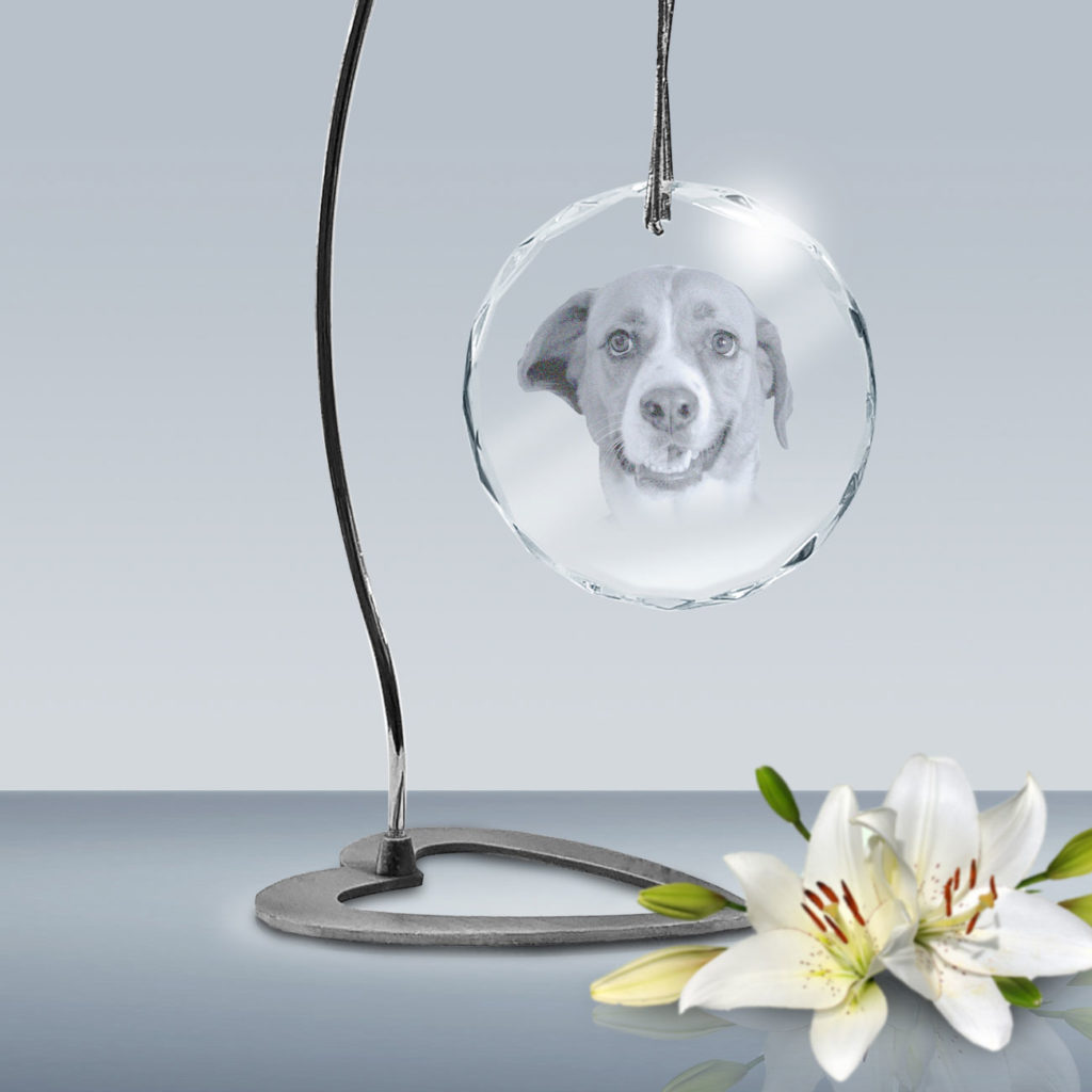 2D 3D Photo Crystal – Goodcount 3D Crystal Etching Gift & Award